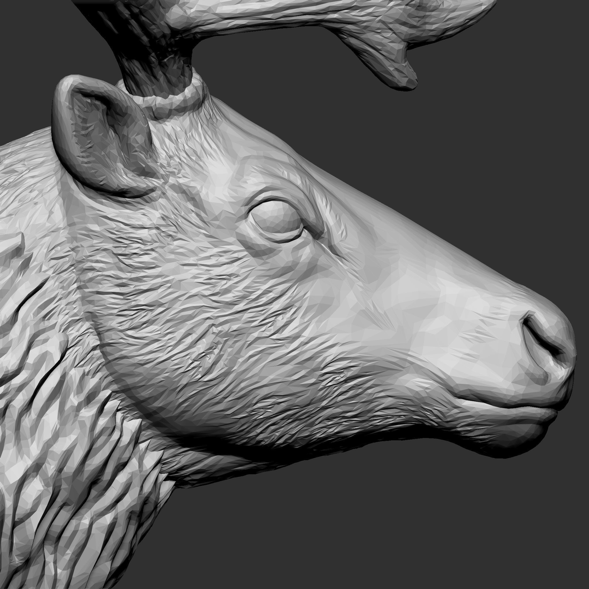 REINDEER 3D model 3D printable | CGTrader