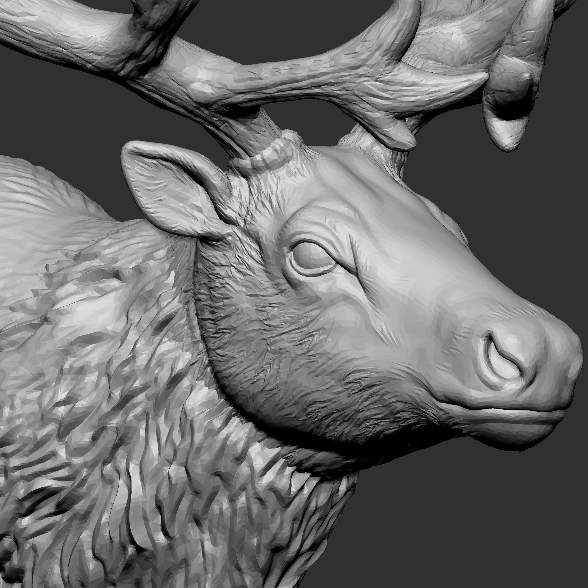 REINDEER 3D model 3D printable | CGTrader