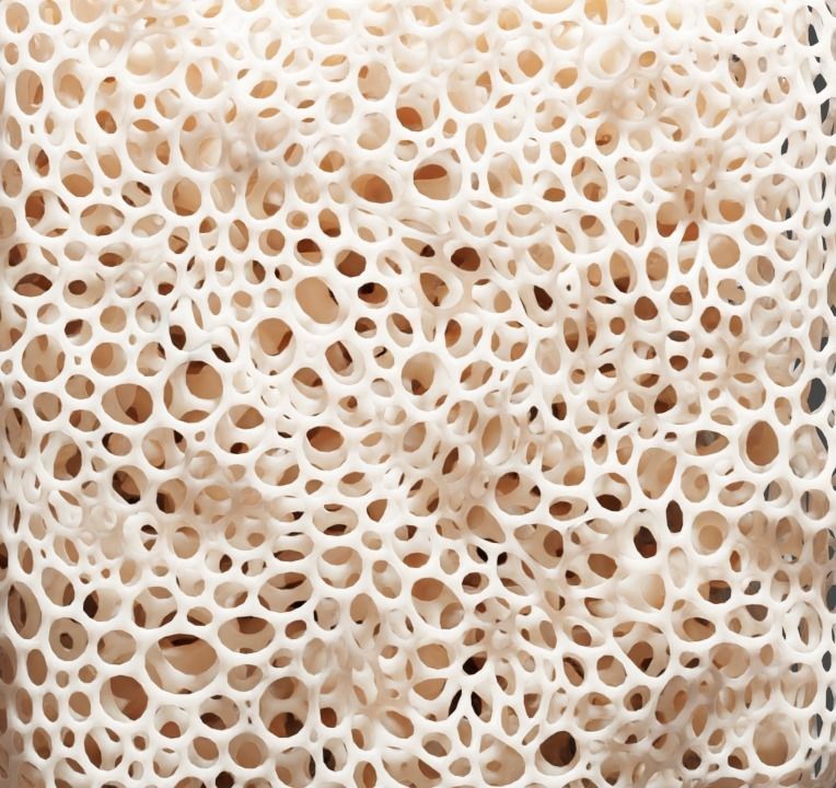 Bone Tissue Structure 3D model | CGTrader