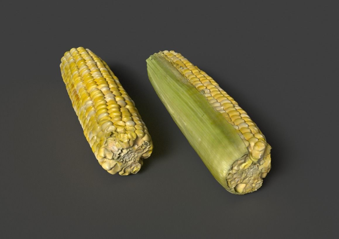 Corn cob with and without husk 3D model | CGTrader