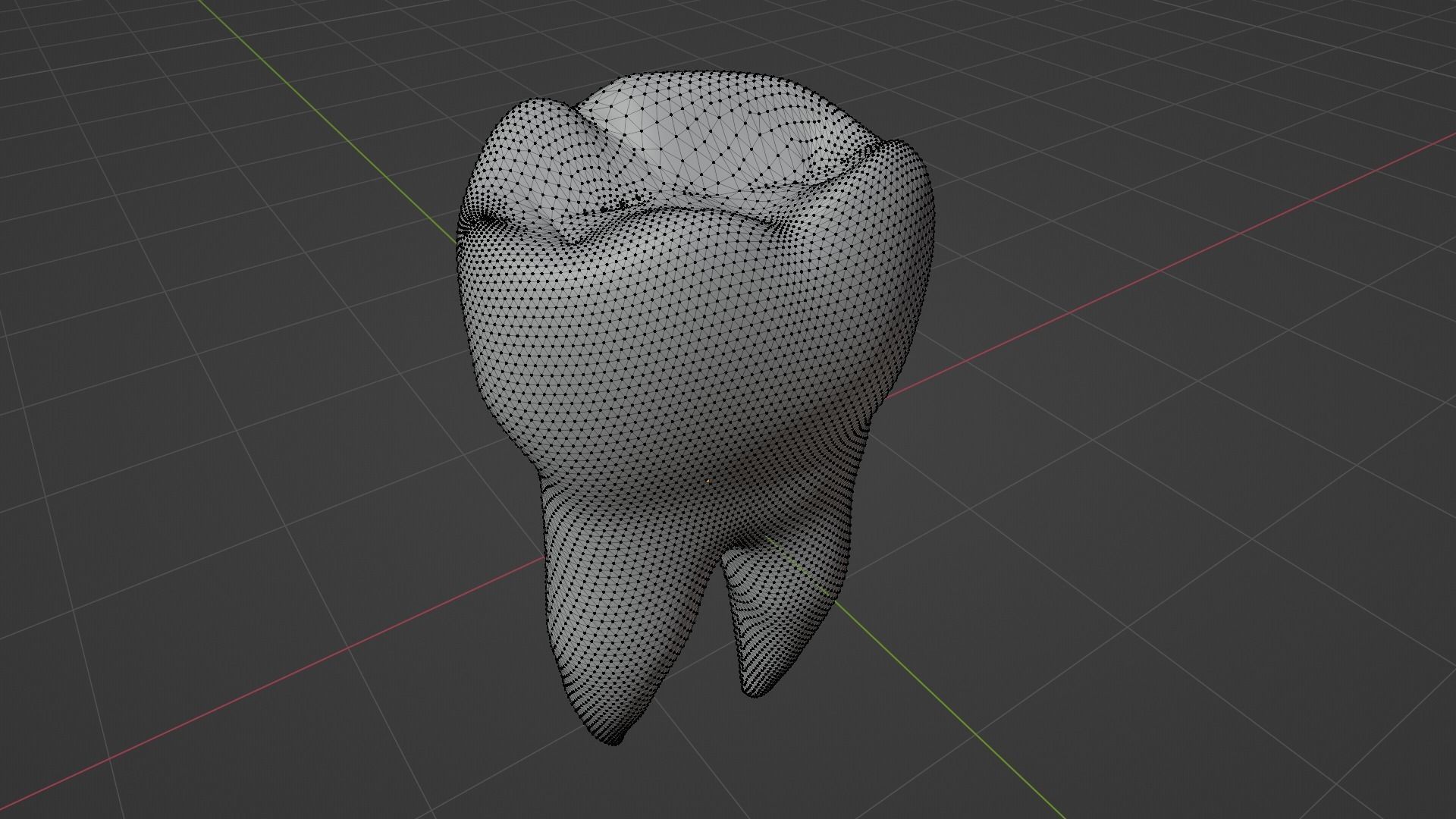Mandibular First Molar Tooth 3D model | CGTrader