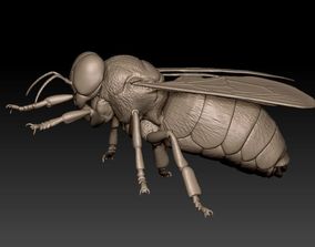 Bee 3D Printing Models | CGTrader