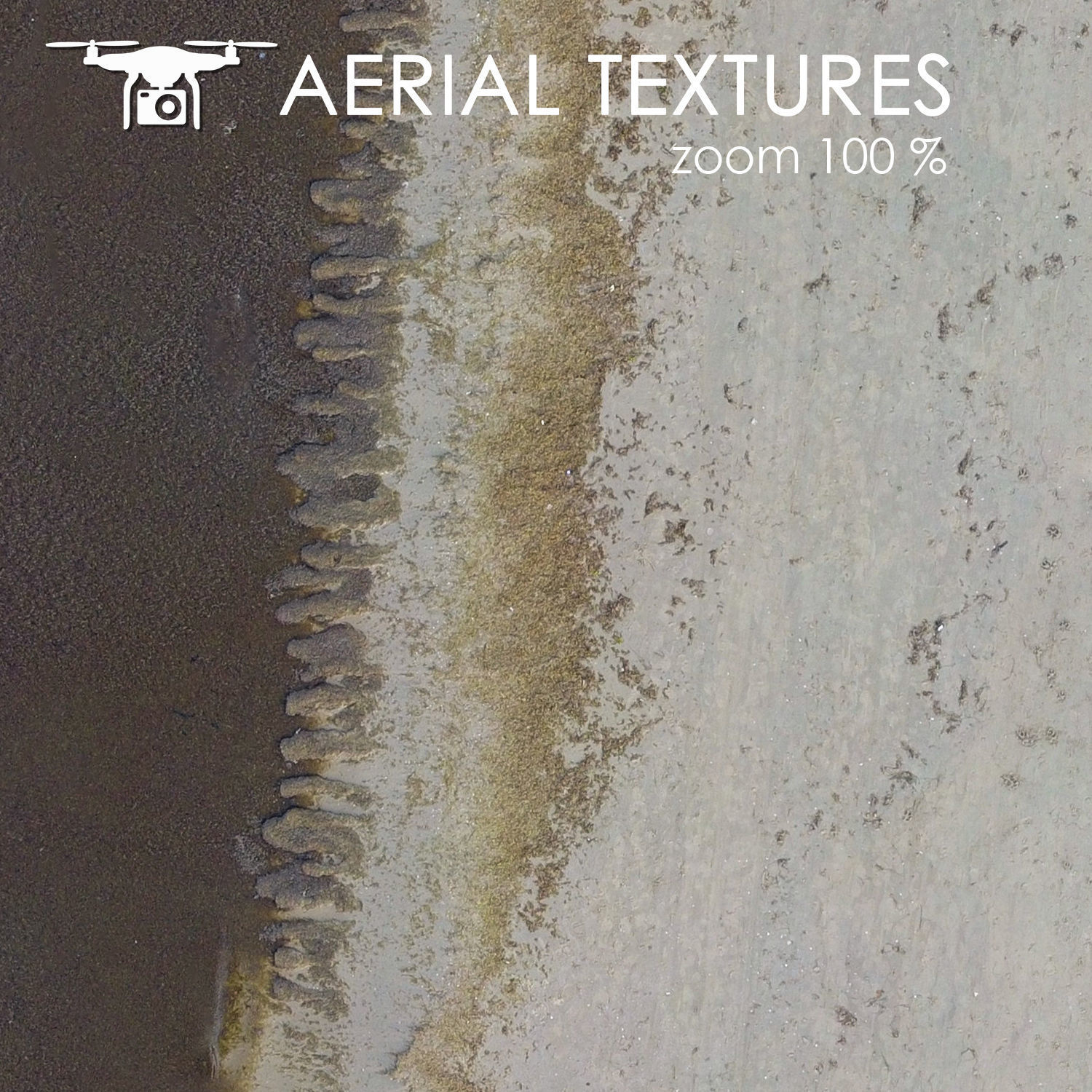 Sandy beach with algae 341 Texture | CGTrader