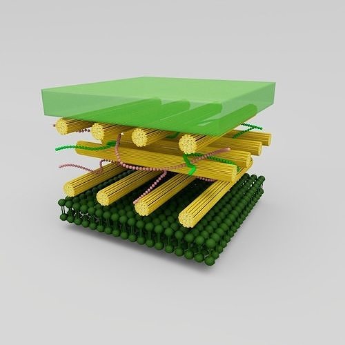 3D model Plant-cell-wall stack of wires VR / AR / low-poly | CGTrader