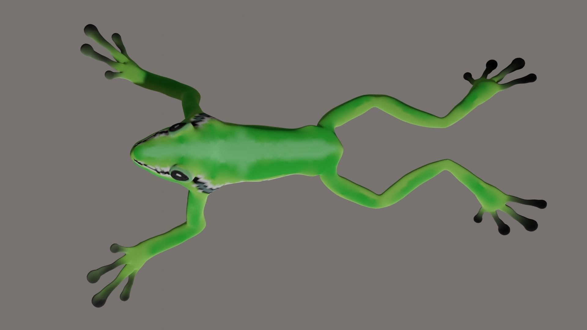 Poison Frog- Green tree frog 3D model | CGTrader