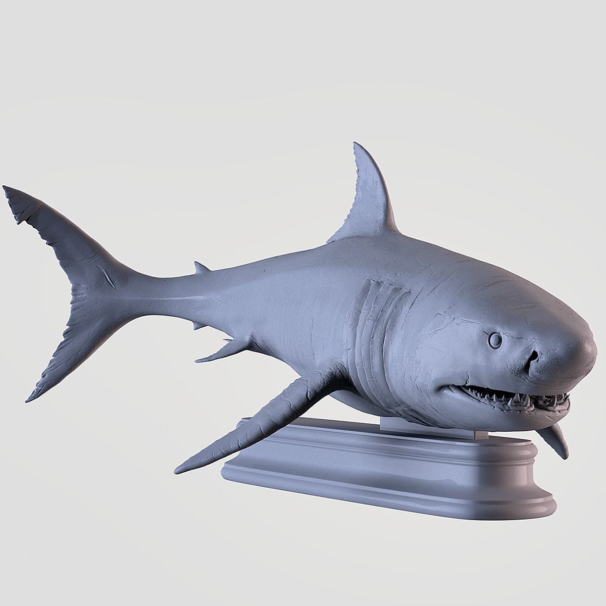 White Shark 3D model 3D printable | CGTrader