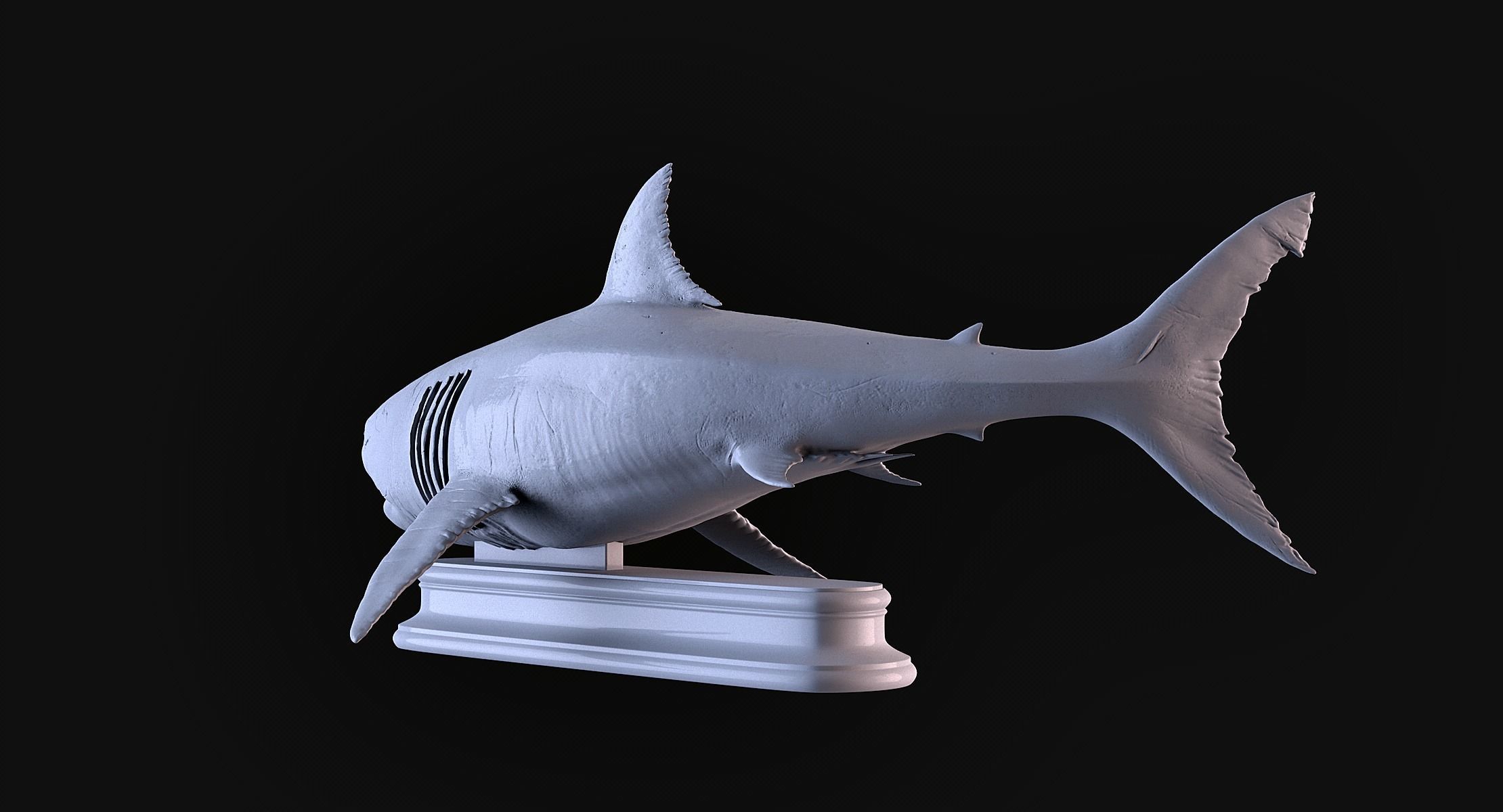 White Shark 3D model 3D printable | CGTrader