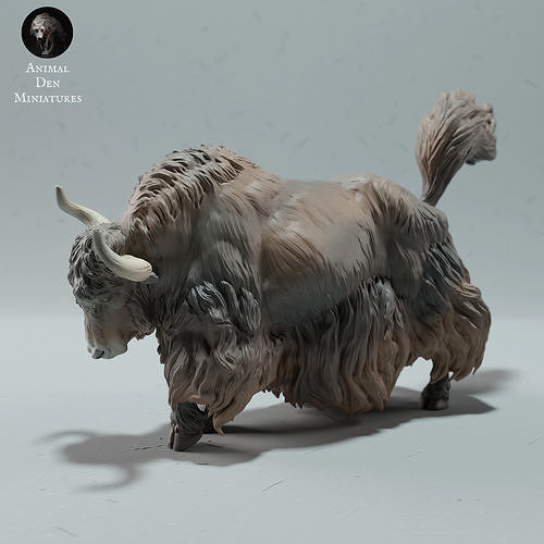 Himalayan Wild Yak Stance 3D model 3D printable | CGTrader