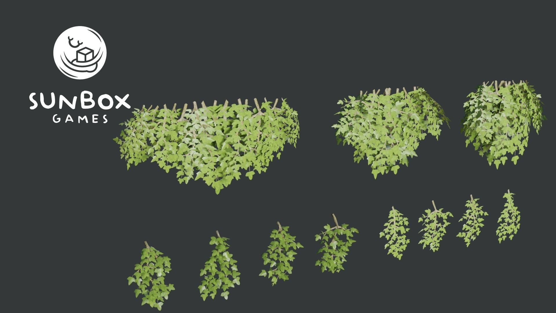 3D model Hanging Ivy Plants VR / AR / low-poly | CGTrader