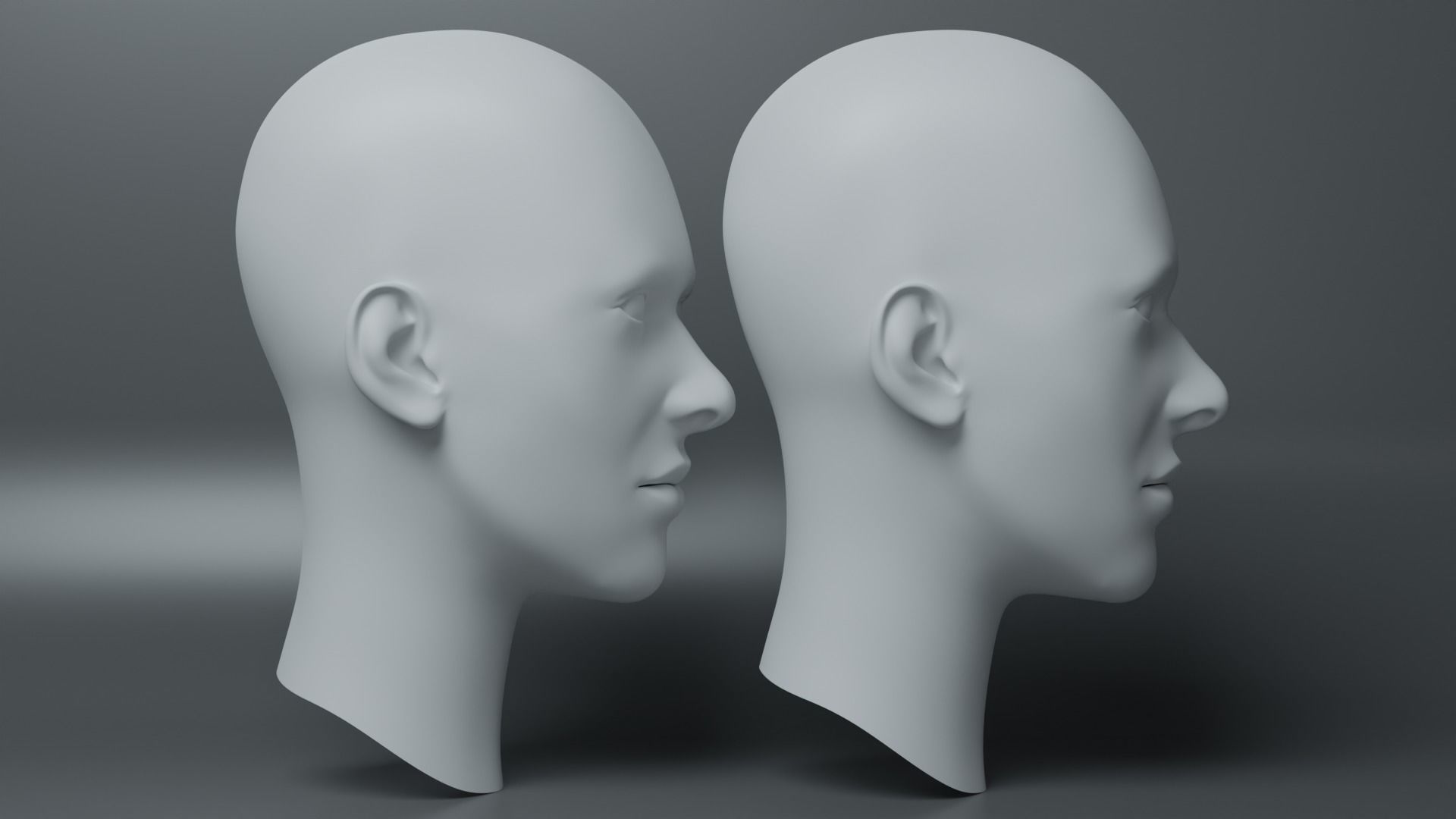 Female Basemesh Head 3D model | CGTrader