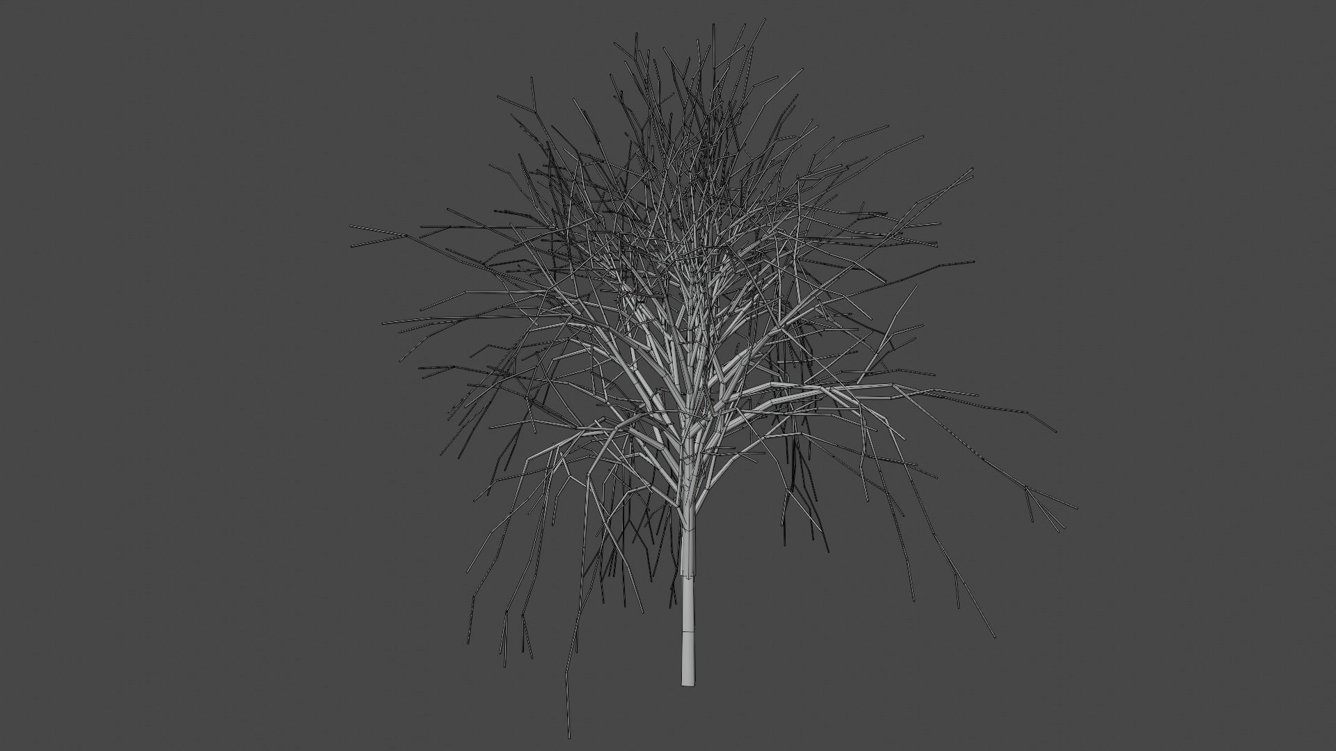 Model Japan Sakura Tree free 3D model | CGTrader