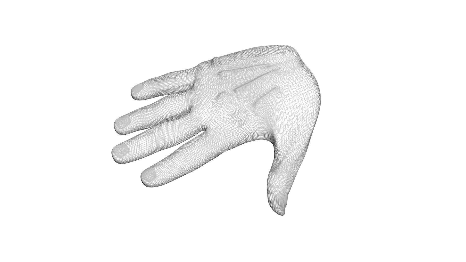 Human Hands 3D model | CGTrader