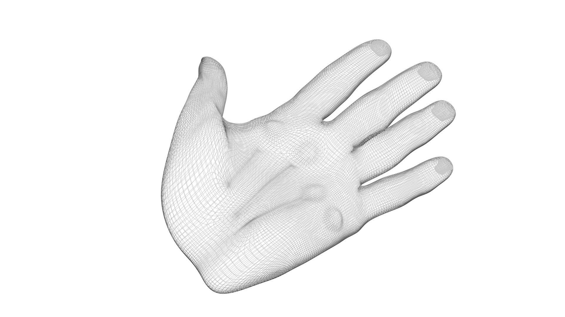 Human Hands 3D model | CGTrader