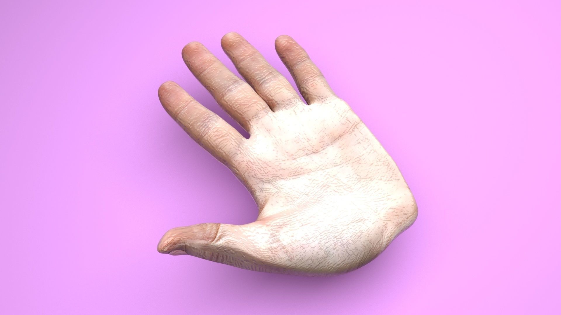 Human Hands 3D model | CGTrader