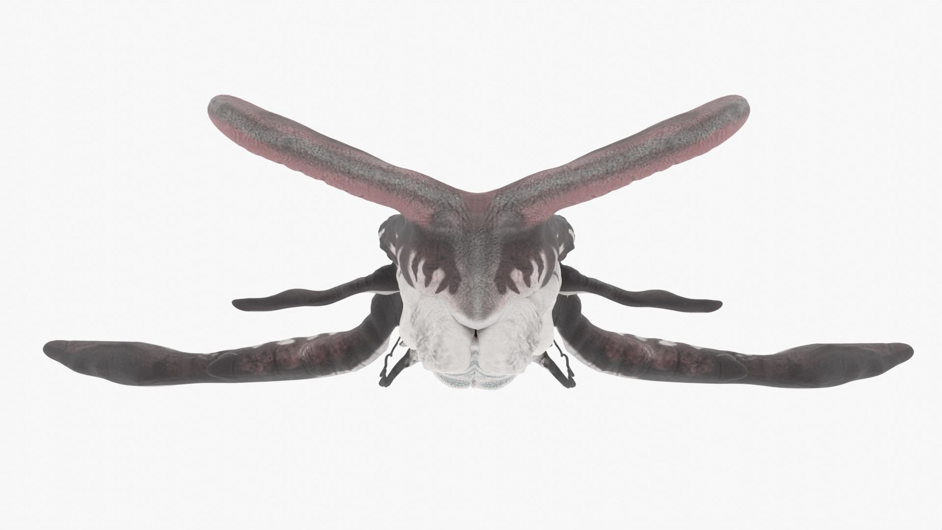 3D model Tulkun from Avatar Rigged 3D Model VR / AR / low-poly | CGTrader