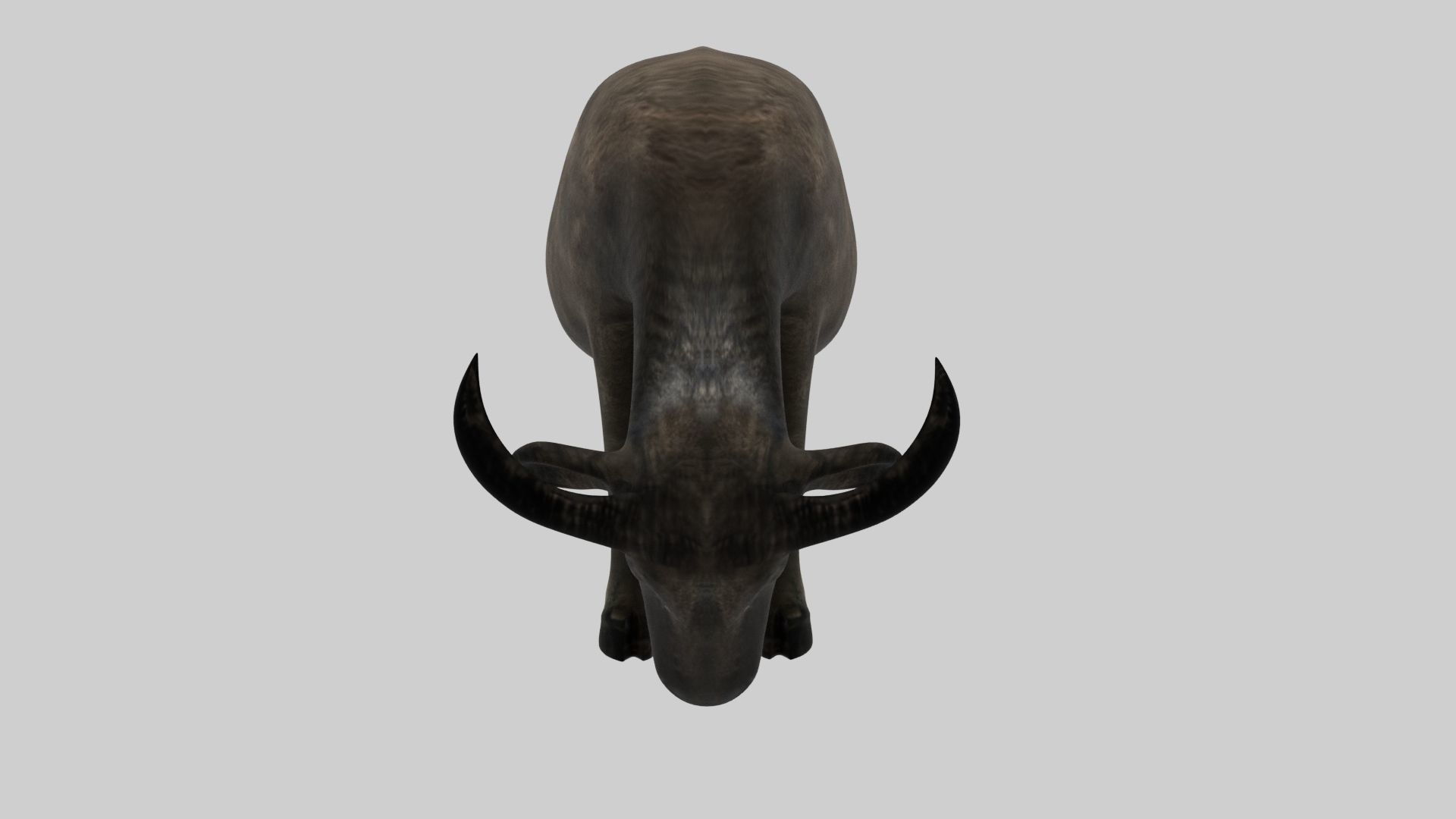 3D model Buffalo Animated VFX Grace VR / AR / low-poly | CGTrader