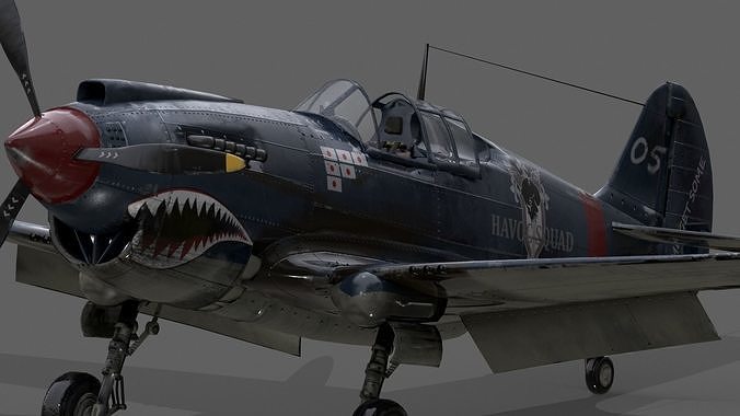P40 WARHAWK 3D model | CGTrader