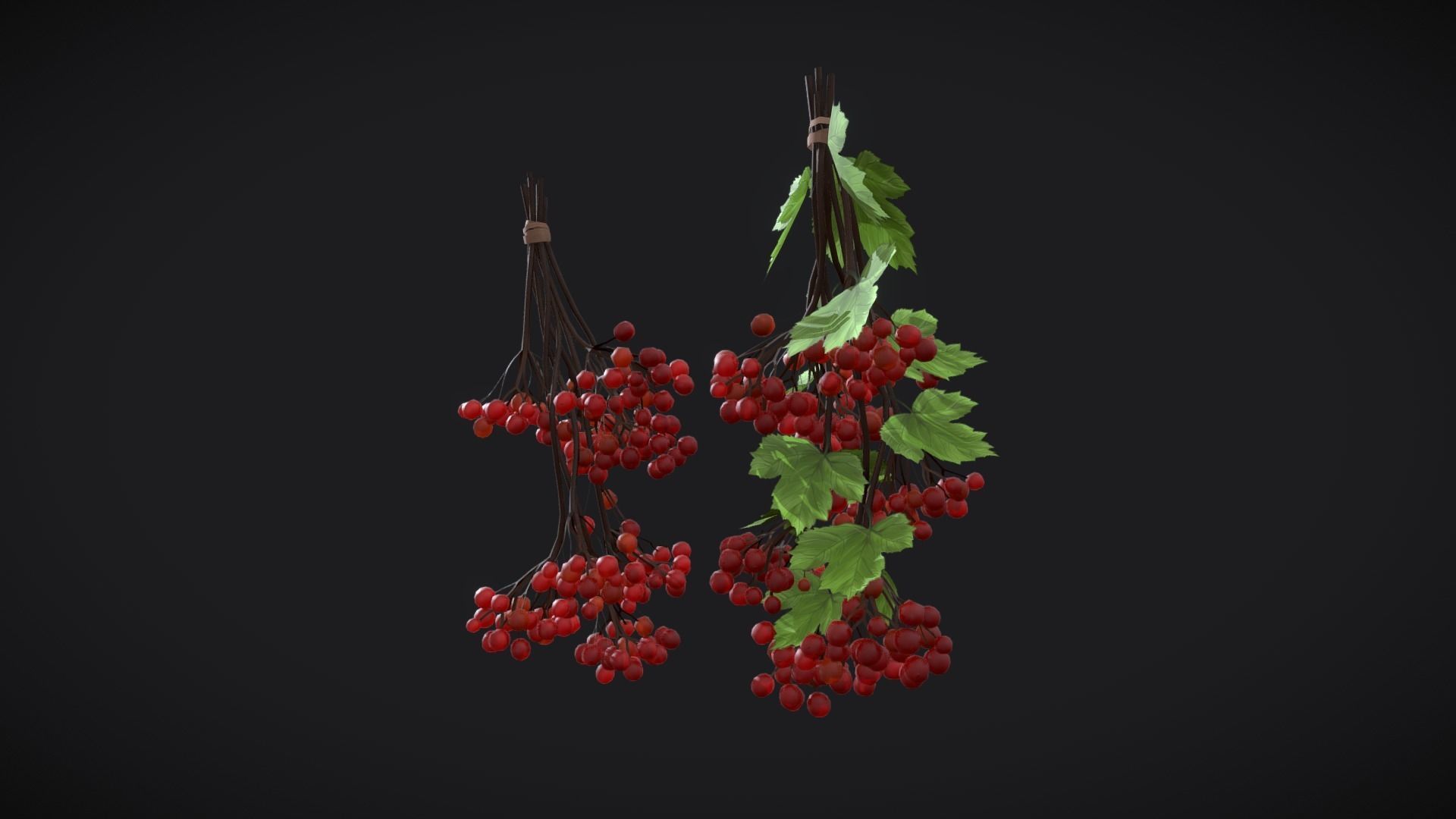 3D model Guelder rose red berries with leaves VR / AR / low-poly | CGTrader