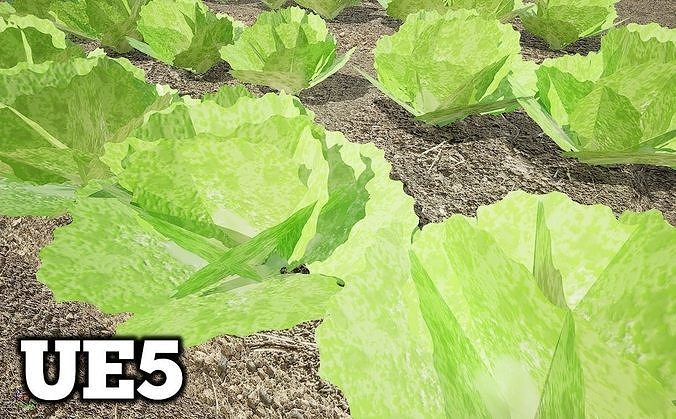 3D model Lettuce Alface PBR lowpoly 3d Model VR / AR / low-poly | CGTrader