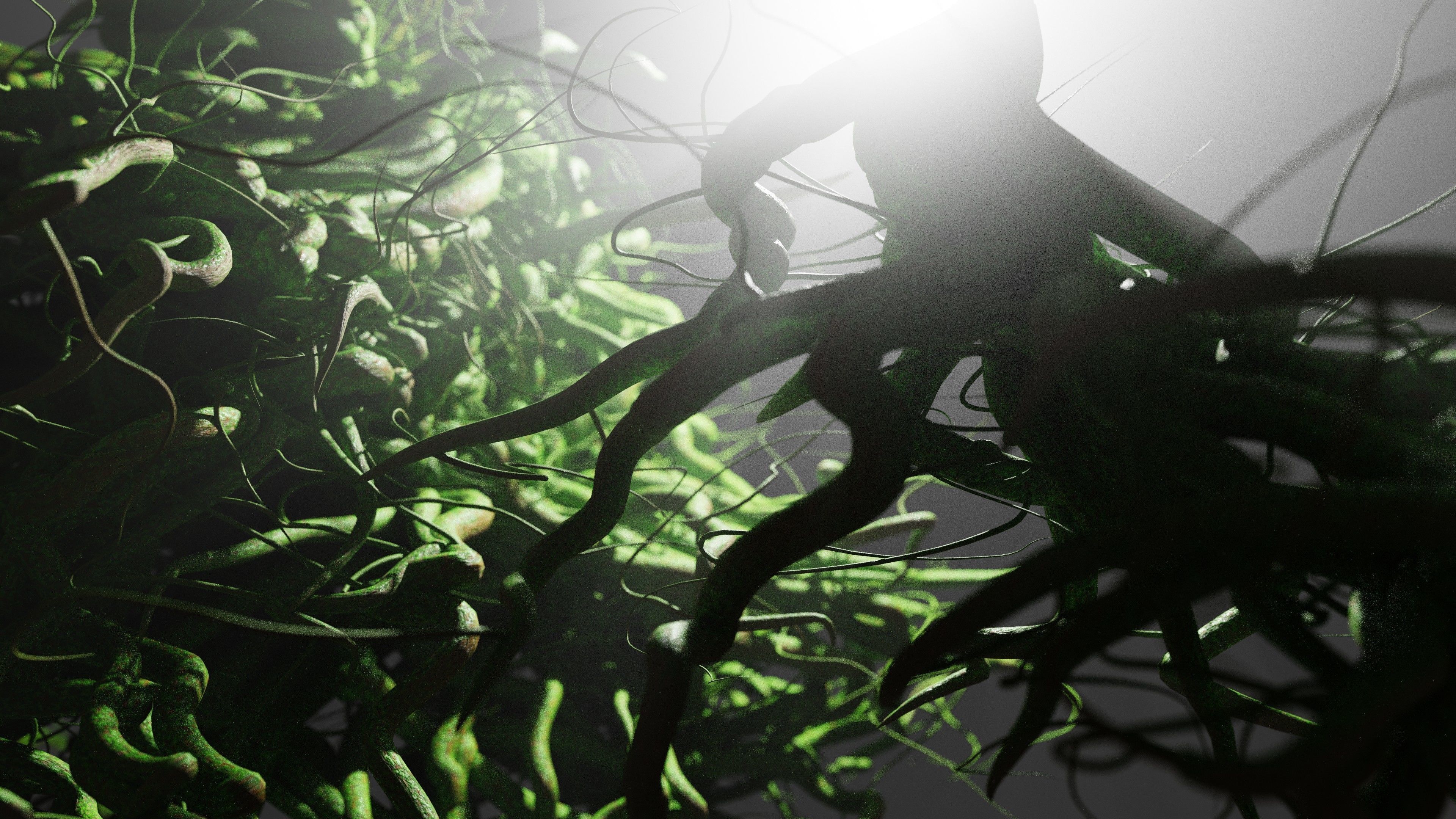 Root generator - Animation Ready - Geometry Nodes 3D model animated ...