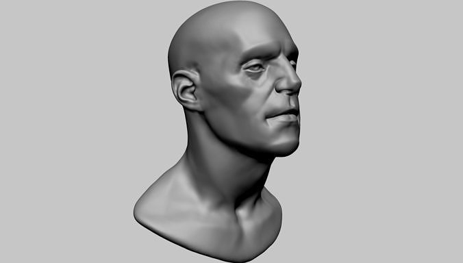 Base Male Head B 3D model | CGTrader