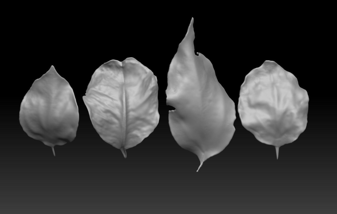 Four STL leaf 3D printing leaf ZB brushes 3D model 3D printable | CGTrader