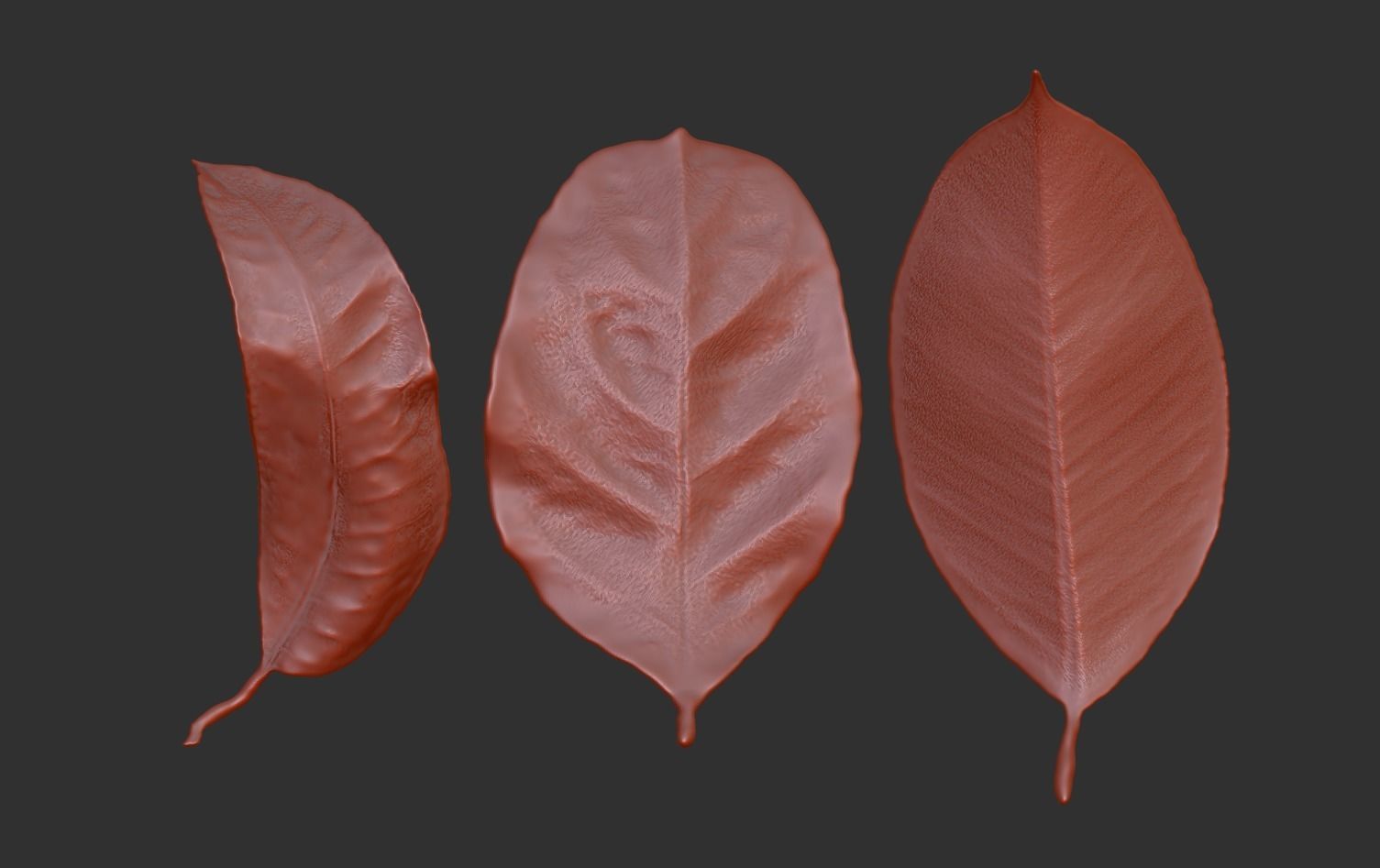 Leaf ZBrush brush 3D printing leaf files Withered leaves 3D model 3D ...