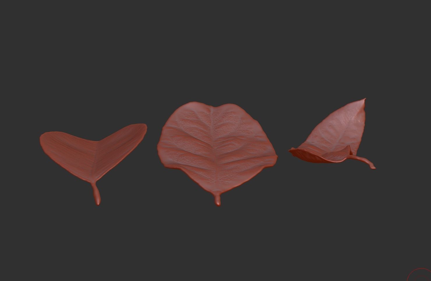 Leaf ZBrush brush 3D printing leaf files Withered leaves 3D model 3D ...