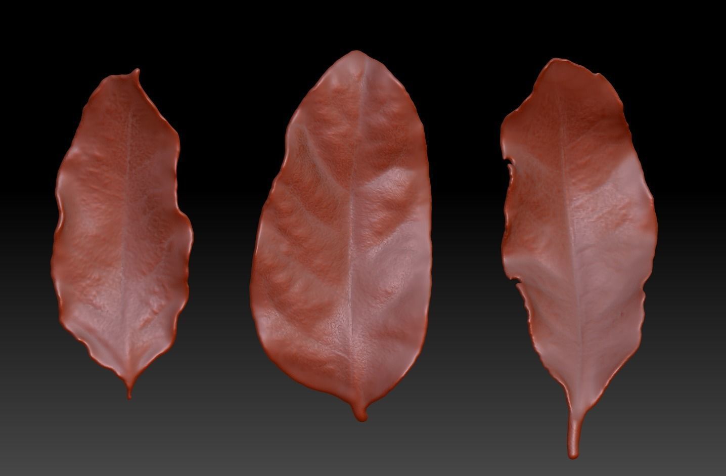leaf foliage leafage 3D printing leaves ZBrush Leaf Brush 3D model 3D ...