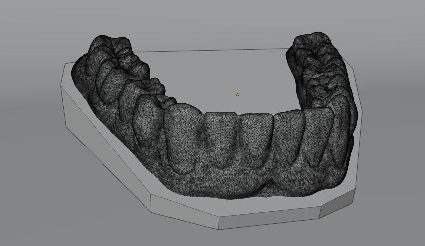 Human teeth 3D model 3D printable | CGTrader