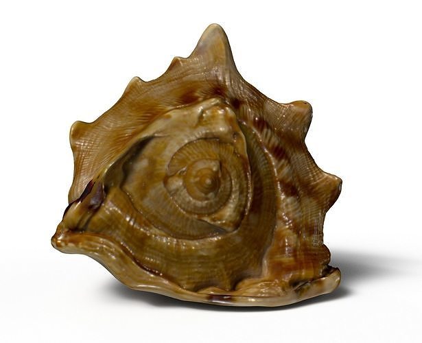 Queen Helmet shell 3D model | CGTrader