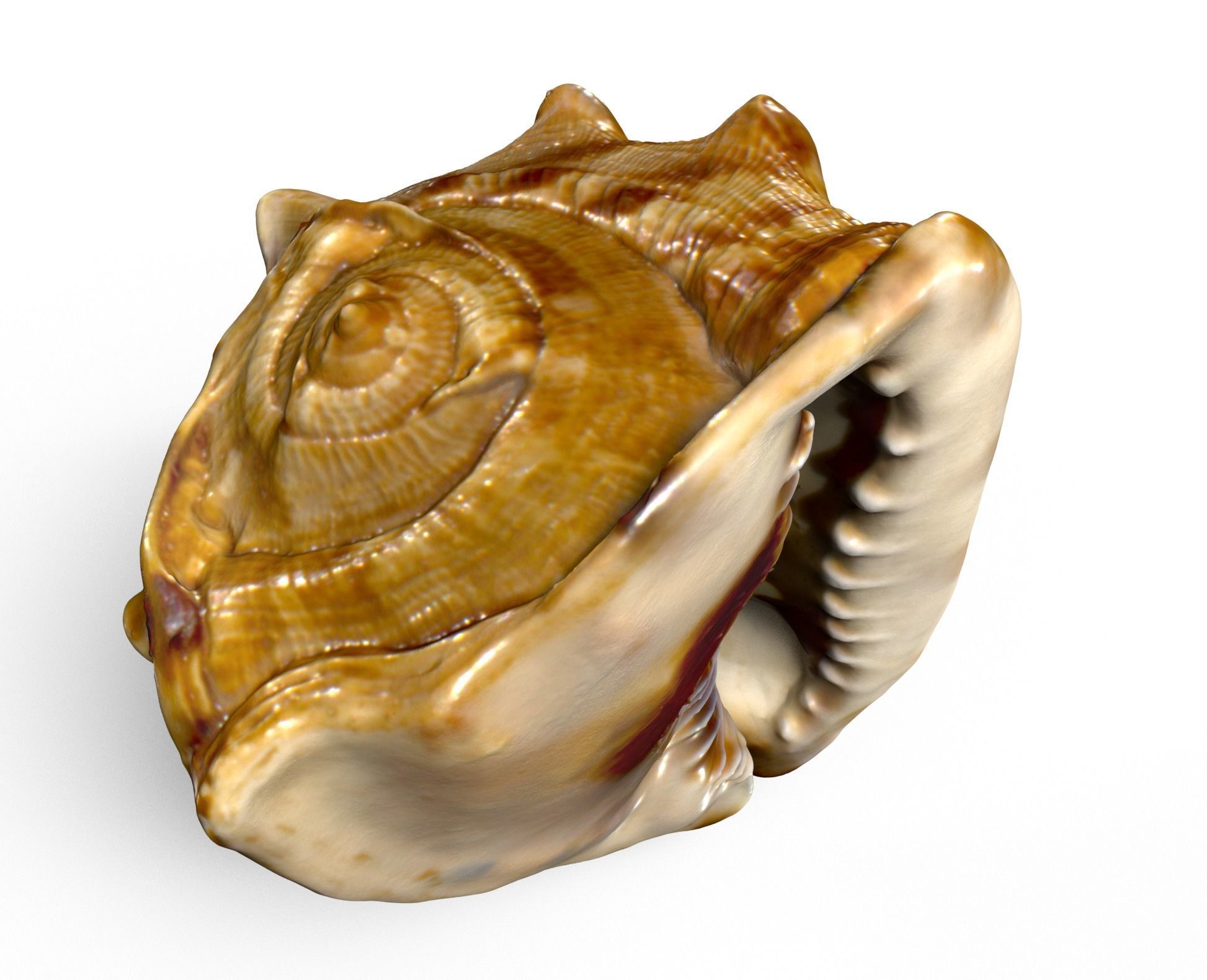 Queen Helmet shell 3D model | CGTrader