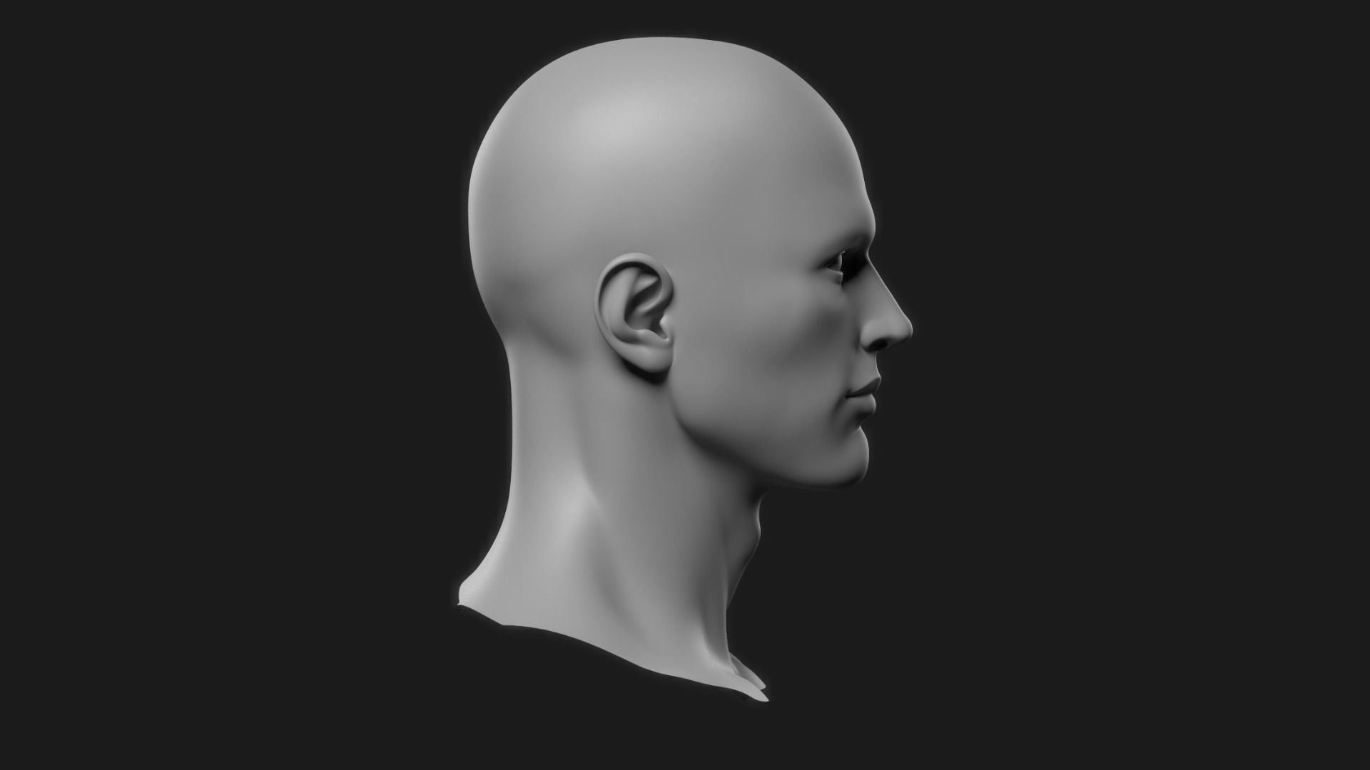 Realistic Man Head Basemesh 3D model | CGTrader