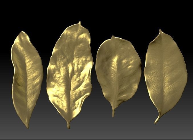 ZBrush Leaf Brush leaf foliage leafage 3D printing leaves 3D model 3D ...