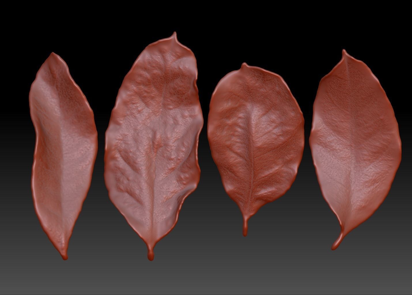 ZBrush Leaf Brush leaf foliage leafage 3D printing leaves 3D model 3D ...