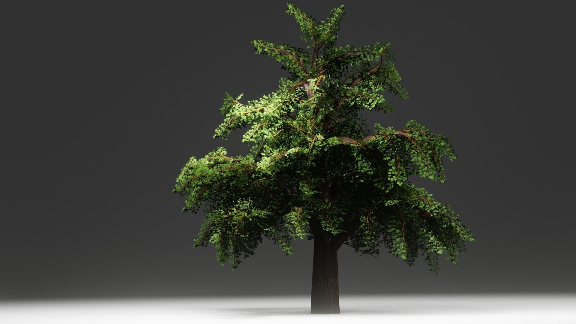 3D model Linden Tree Game Ready VR / AR / low-poly | CGTrader