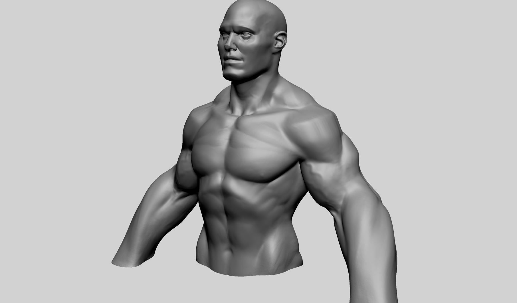 Stylized Male Upper Body 3D model | CGTrader