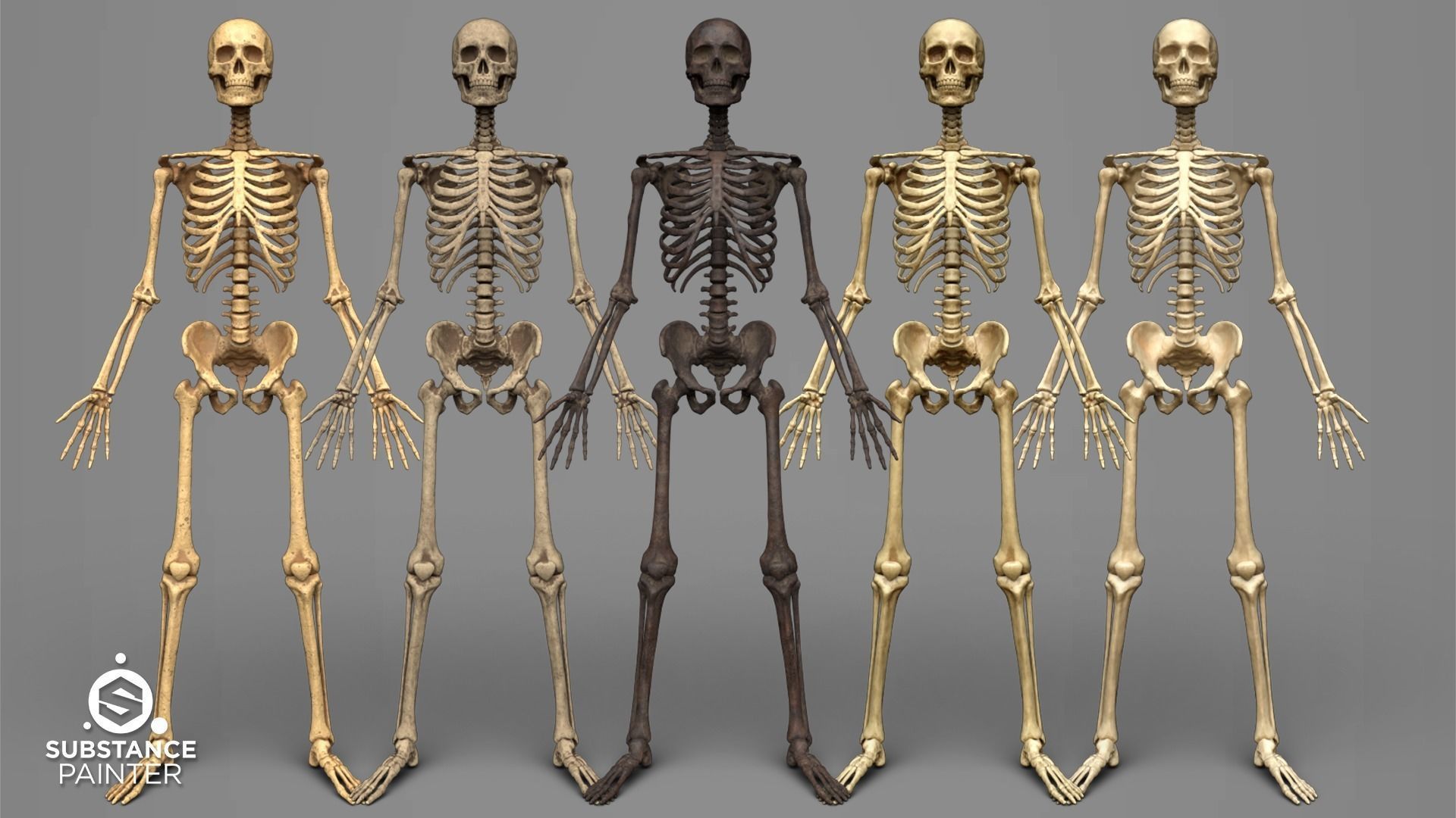 Bones Smart Material - Substance Painter 3D model | CGTrader