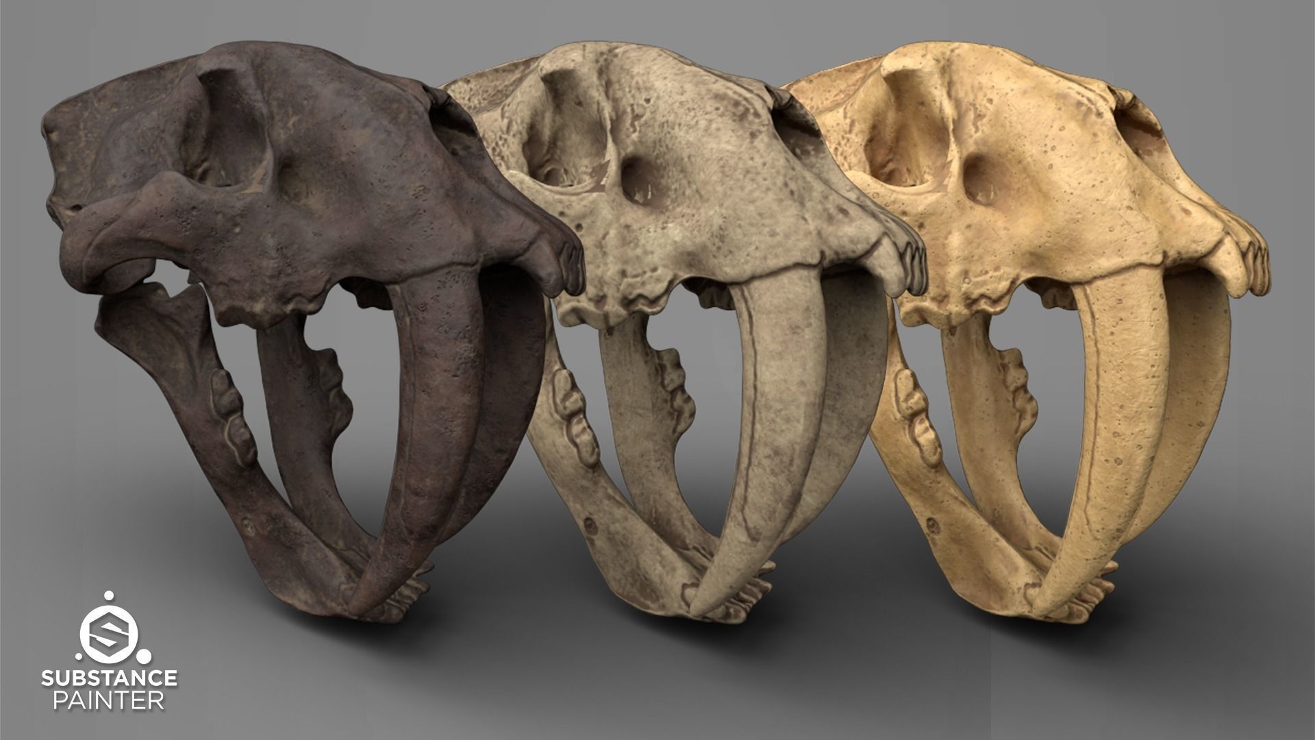 Bones Smart Material - Substance Painter 3D model | CGTrader