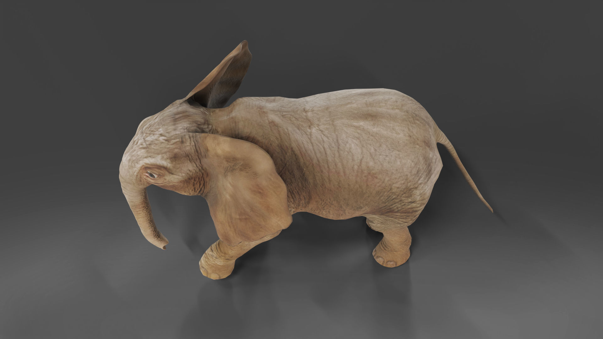 3D model Baby Elephant Rigged and Animation Unity V02 VR / AR / low ...