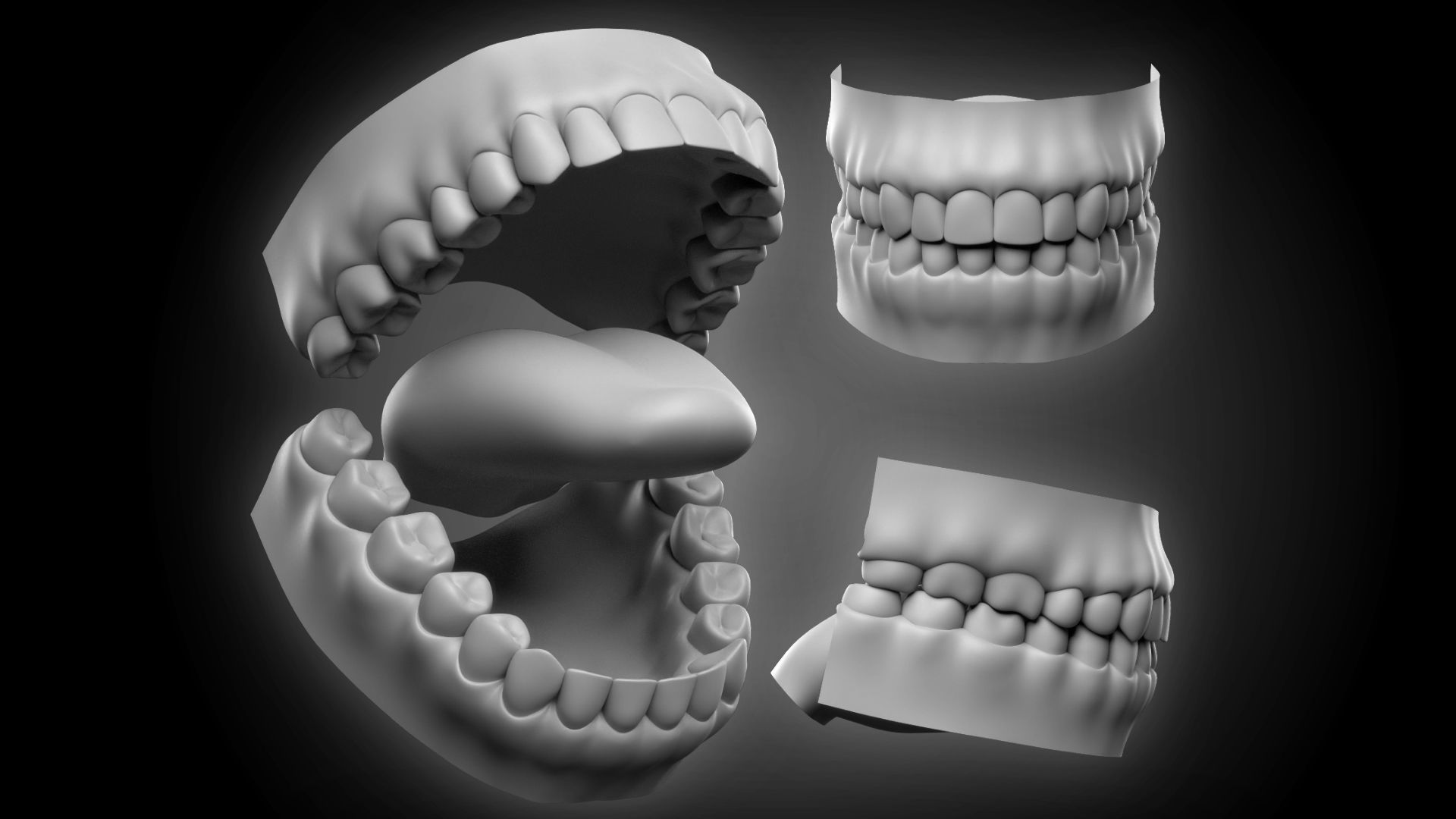 Realistic Human Jaws and Tongue 3D model | CGTrader