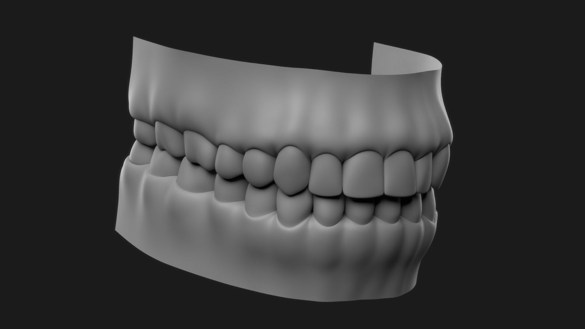 Realistic Human Jaws and Tongue 3D model | CGTrader