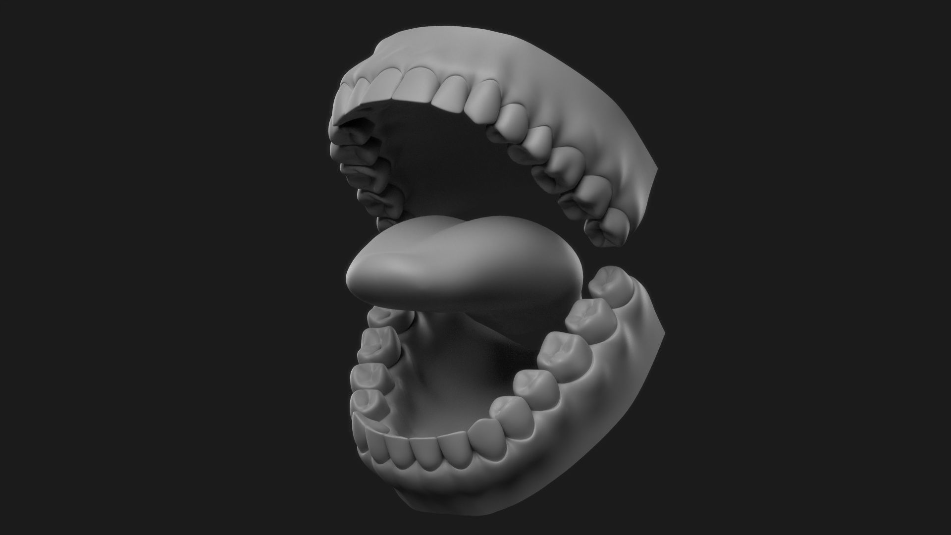 Realistic Human Jaws and Tongue 3D model | CGTrader