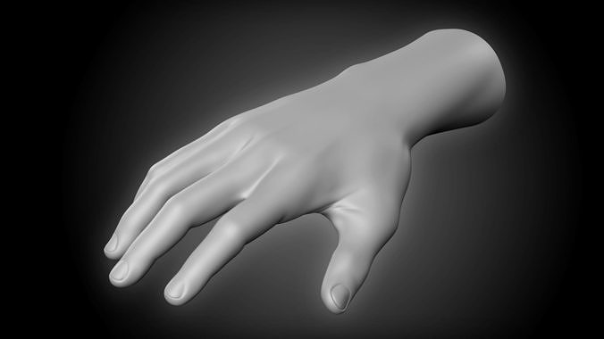 Realistic Man Hand 3D model | CGTrader