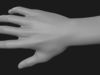 Realistic Man Hand 3D model | CGTrader
