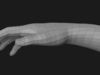 Realistic Man Hand 3D model | CGTrader