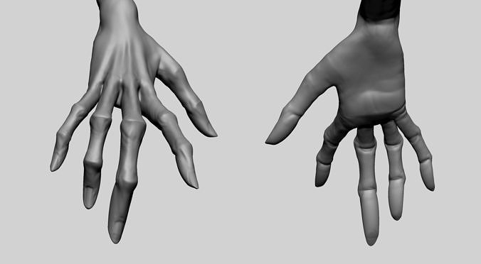 Creature Hand 3D model | CGTrader