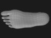 Realistic Human Foot 3D model | CGTrader