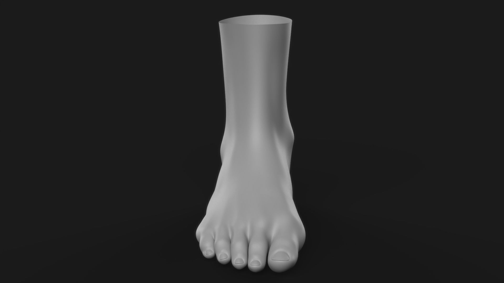 Realistic Human Foot 3D model | CGTrader