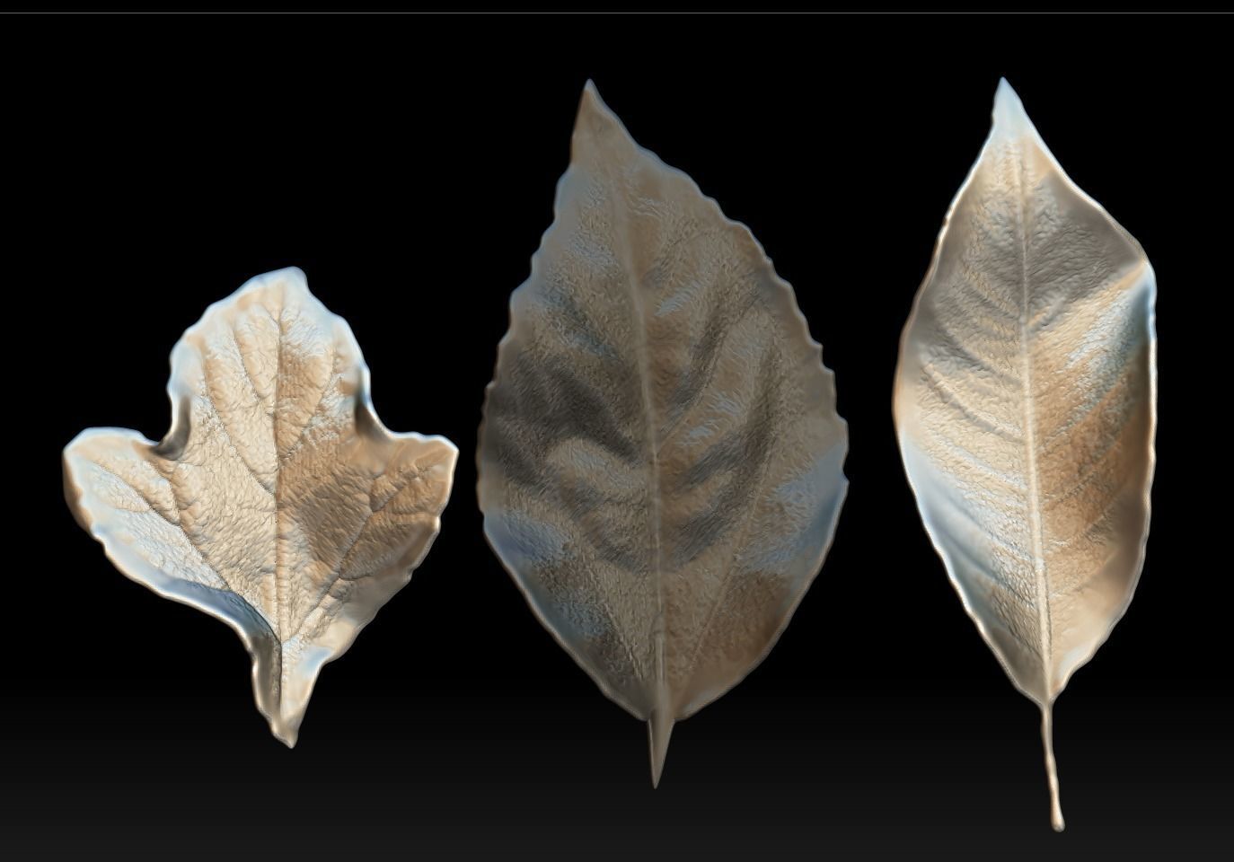 leaves Autumn leaves Leaf sculpture ZBrush Leaf Brush 3D model 3D ...